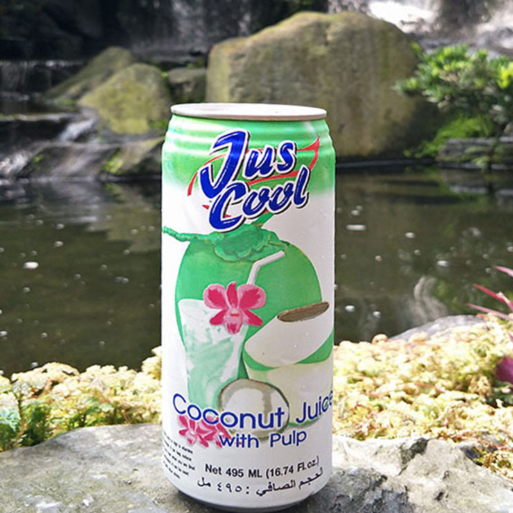 椰子妹妹-椰子水(Coco Cool*二罐+Jus Cool含天然果肉*二罐+Jus Cool*一罐)+黑糖木耳露(一瓶) 價值$185元 ...